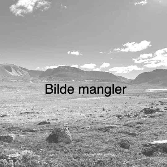 Hva har Lars Monsen, Jens Kvernmo, og talløse turglade nordmenn til ...